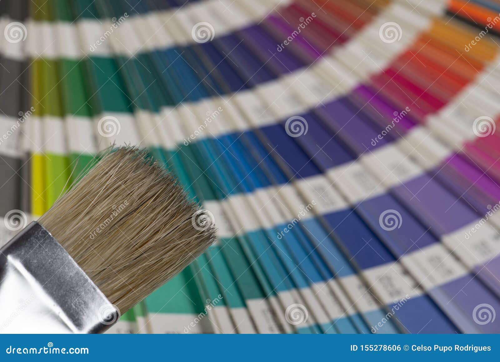 Printed Color Swatch With Density Meter And Paint Guide Isolated On ...