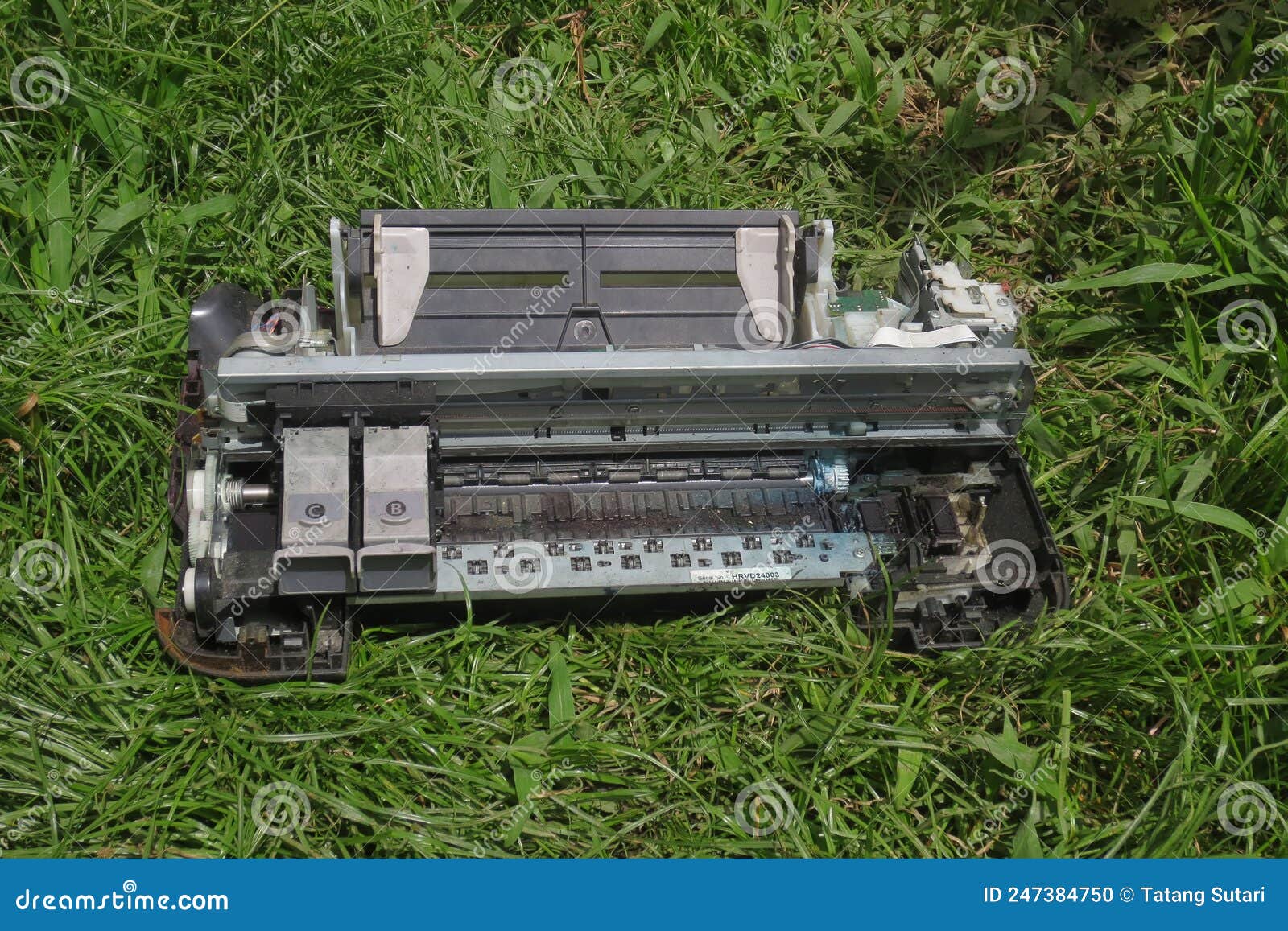 Printer Broken on Green Grass Editorial Image - Image of color ...