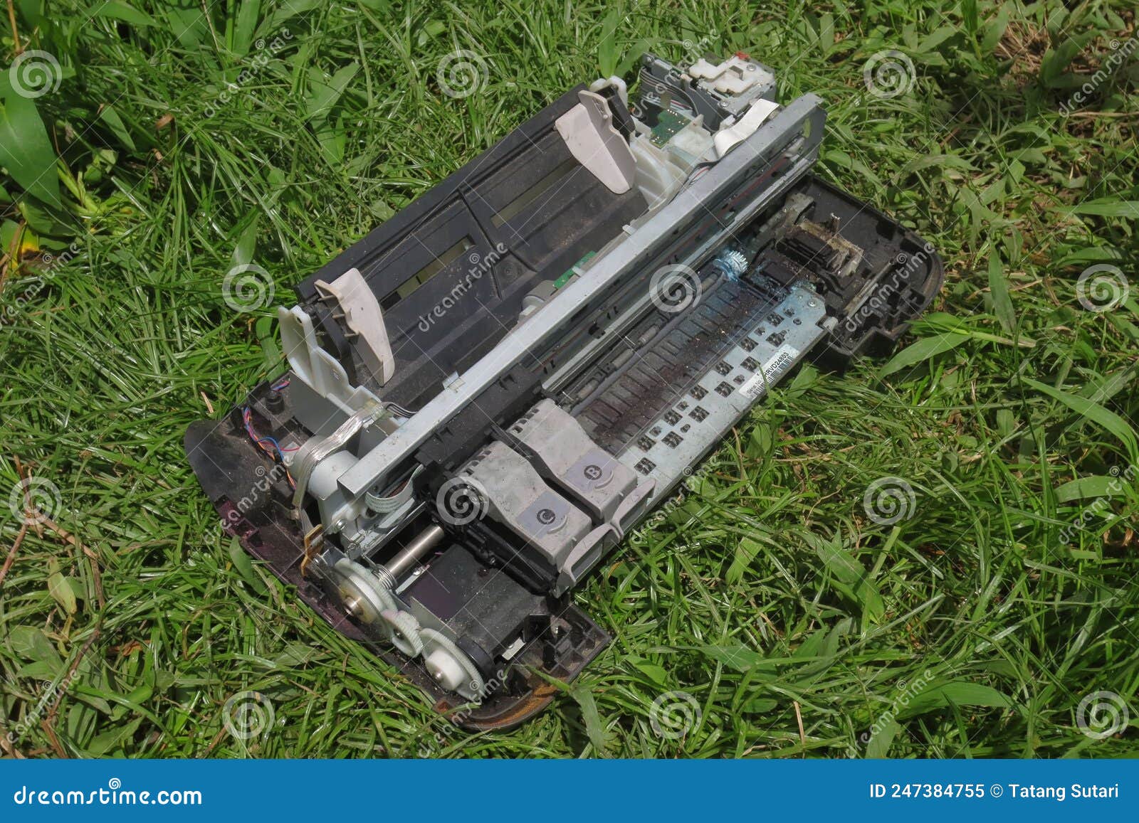 Printer Broken on Green Grass Editorial Image - Image of color, soldier ...