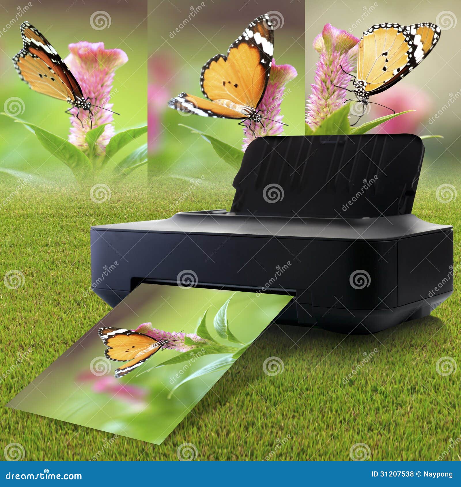 Printer and picture stock photo. Image of color, modern - 31207538