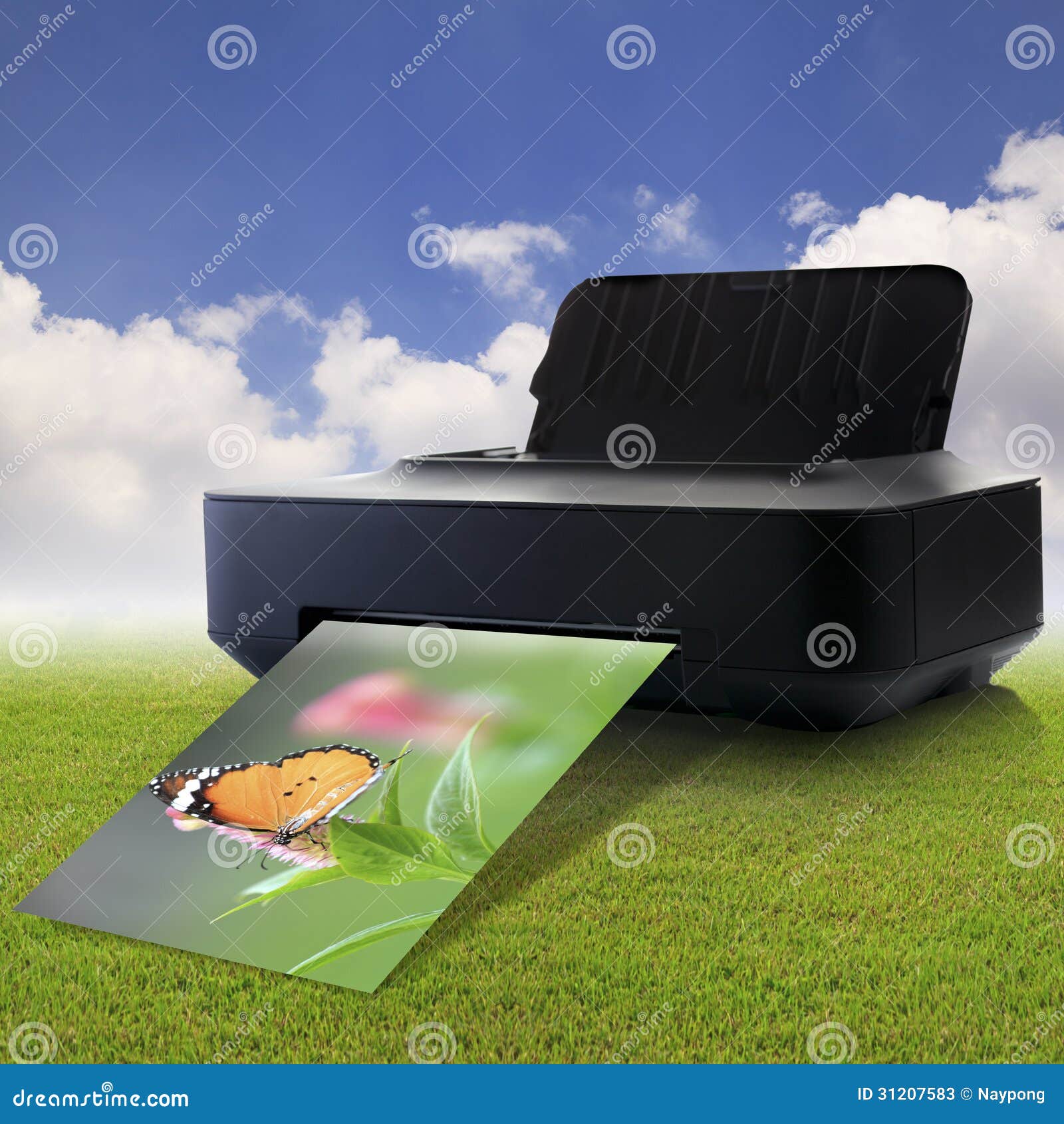 Printer and picture stock image. Image of modern, butterfly - 31207583