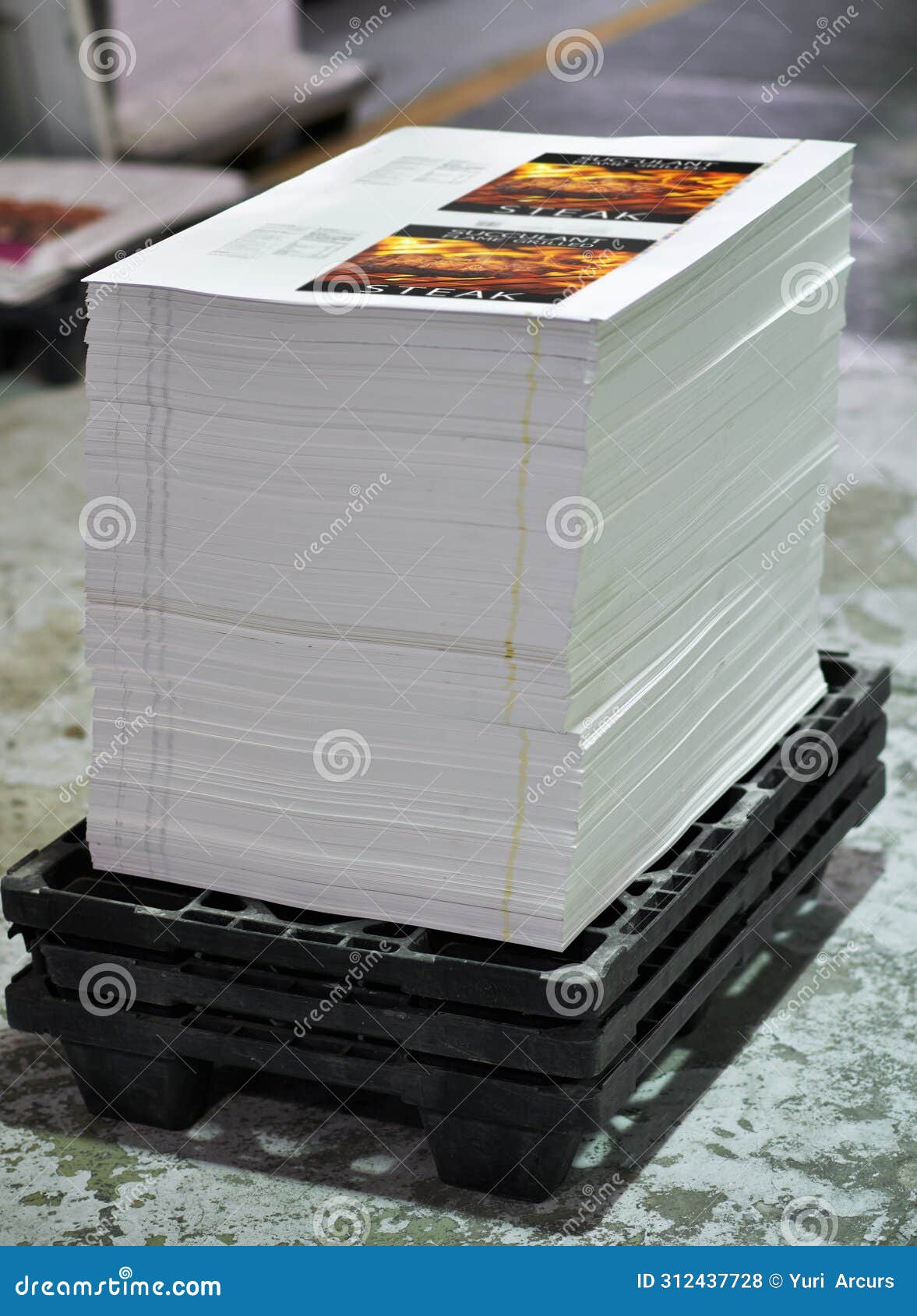 Printing, Factory and Paper Stack for Distribution or Manufacturing ...