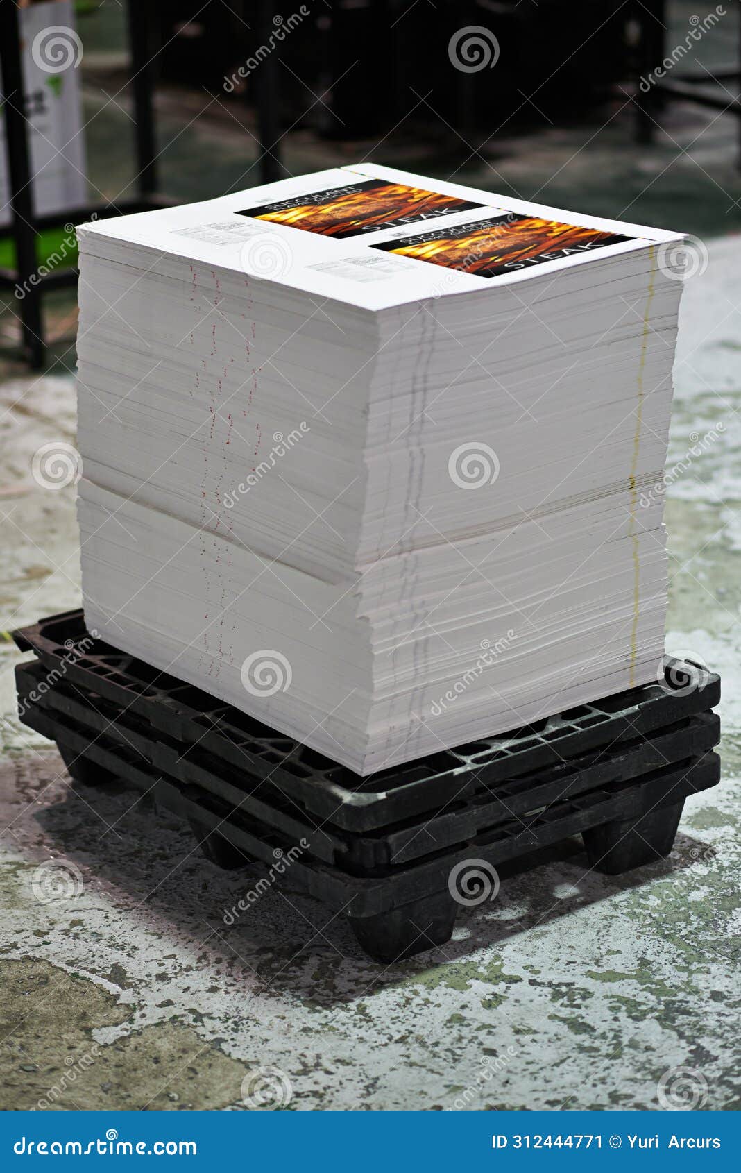 Printing, Warehouse and Paper Stack for Manufacturing or Distribution ...