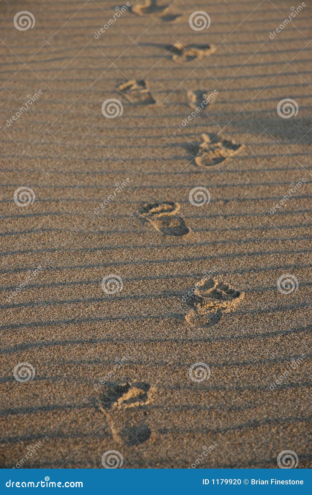 Prints in the sand stock photo. Image of toes, direction - 1179920