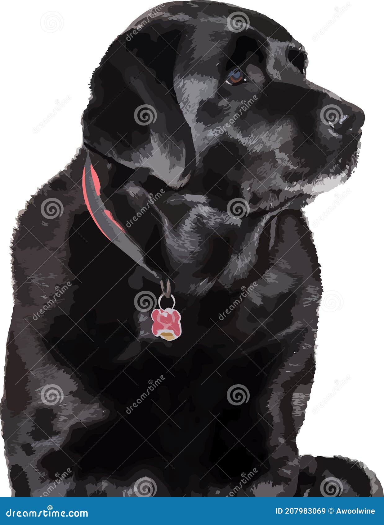 PrintVector Illustration of Black Labrador Retriever on White Stock ...
