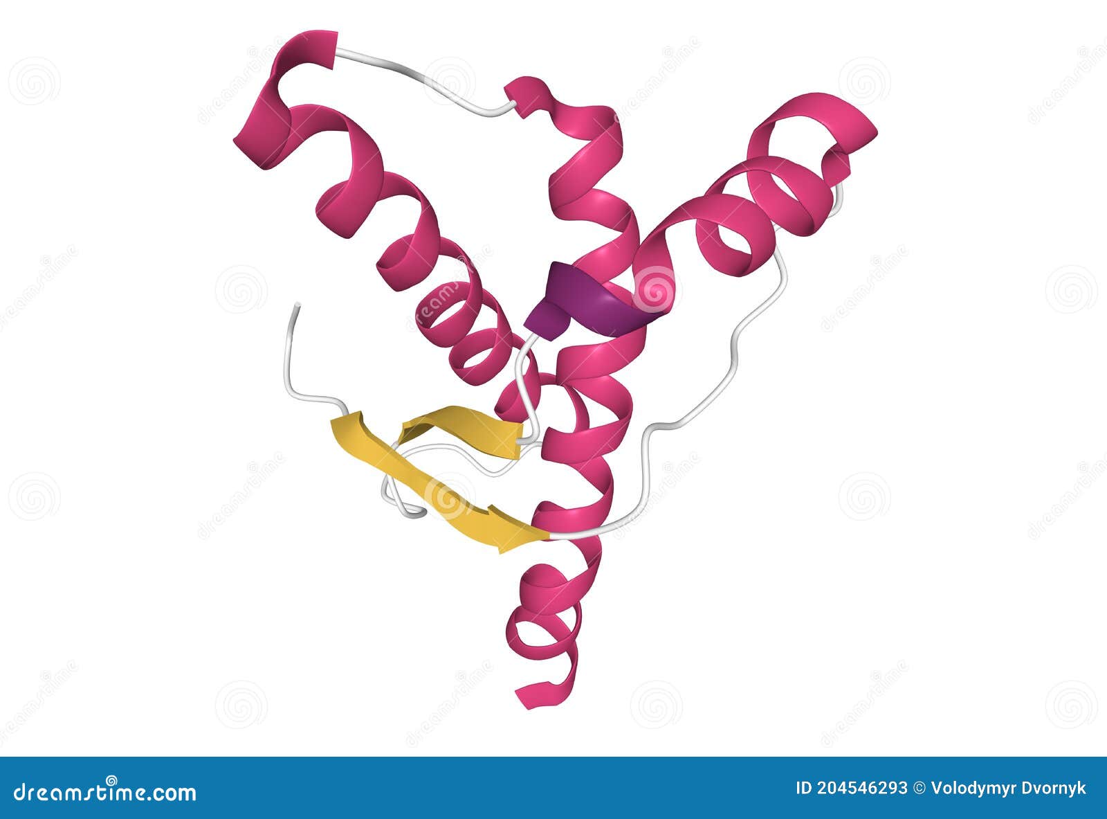 Protein Structure Cartoon