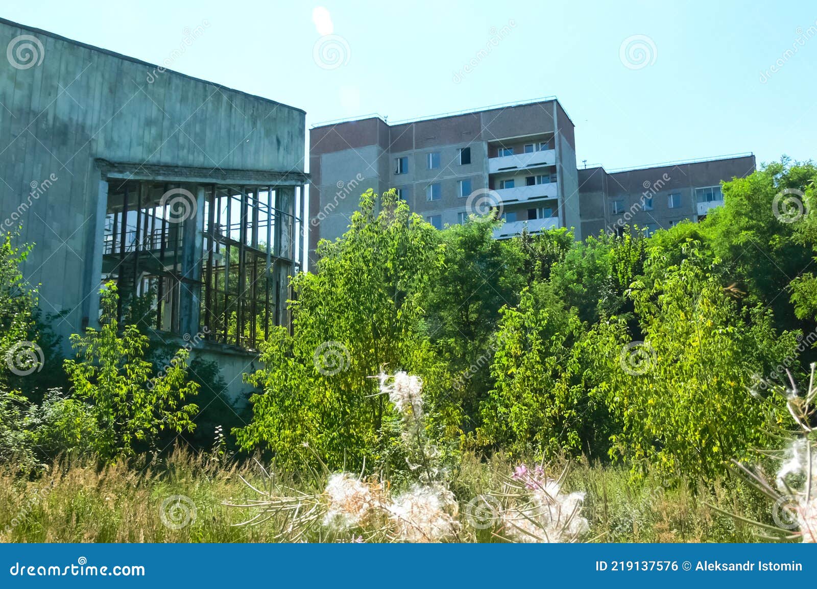 Pripyat, Exclusion Zone of the Chernobyl Disaster. Editorial Photo ...