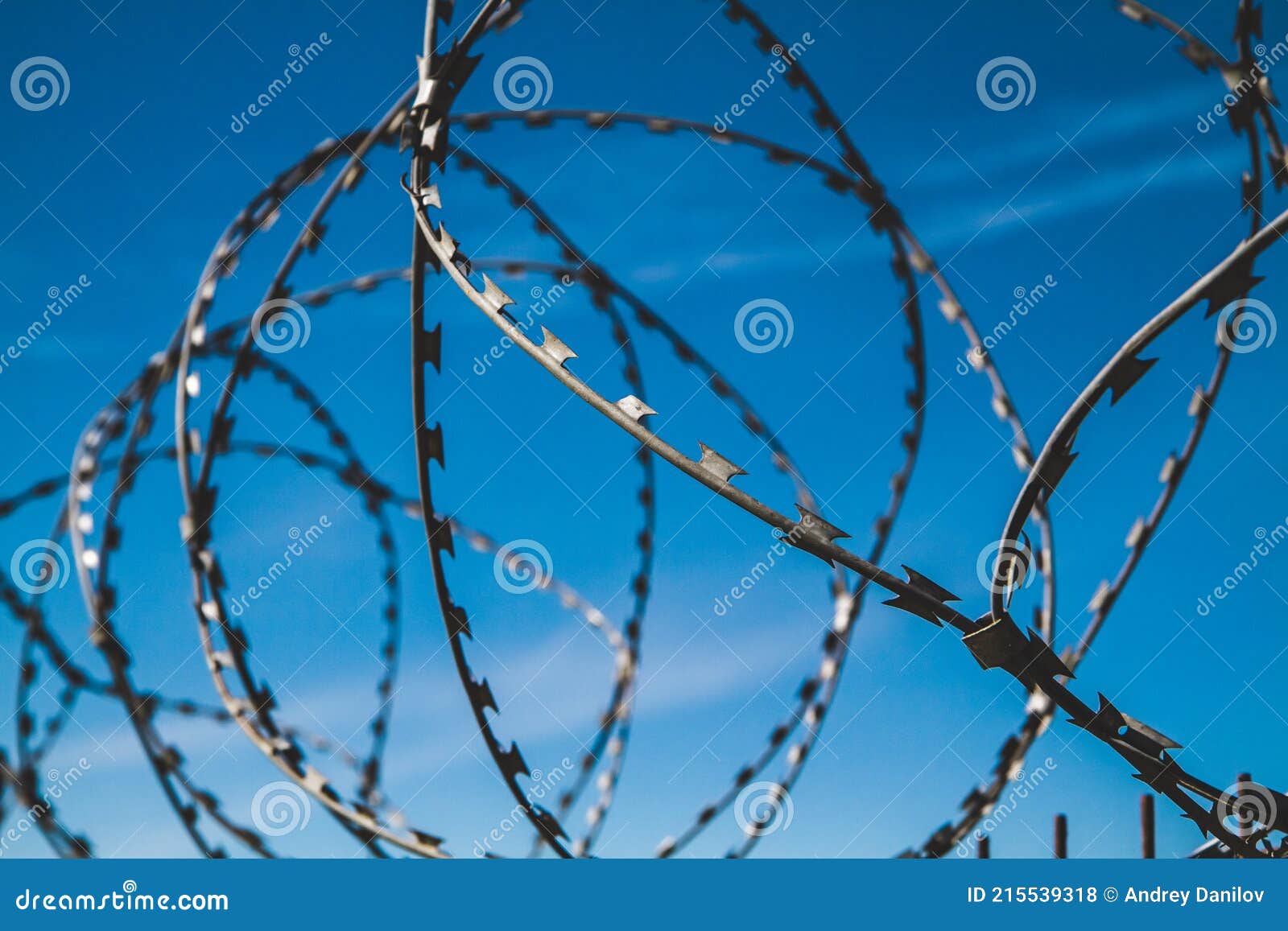 Prison barbed wire and stock photo. Image of crime, barbed - 215539318