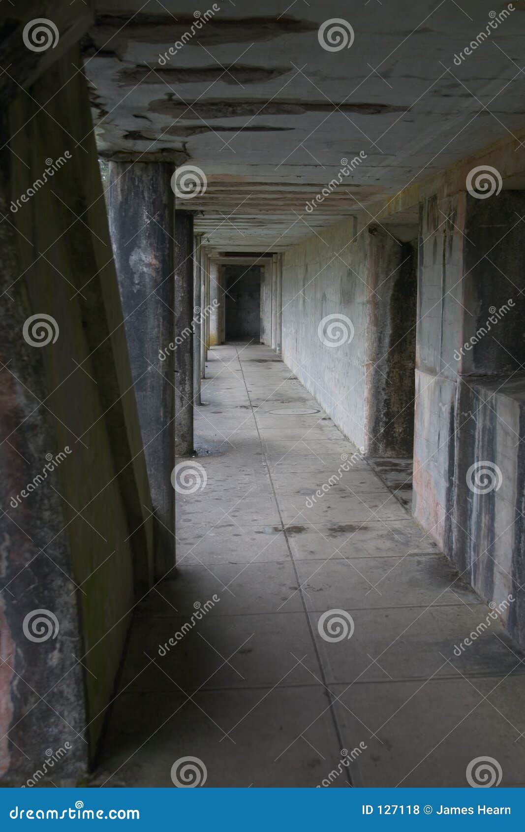 Prison hallway stock photo. Image of hall, ruin, mold, hallway - 127118