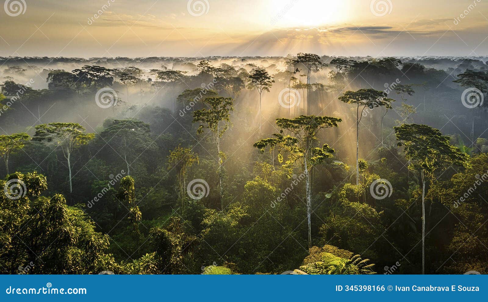 Pristine Amazon Rainforest: A Glimpse Of Untouched Nature's Beauty ...
