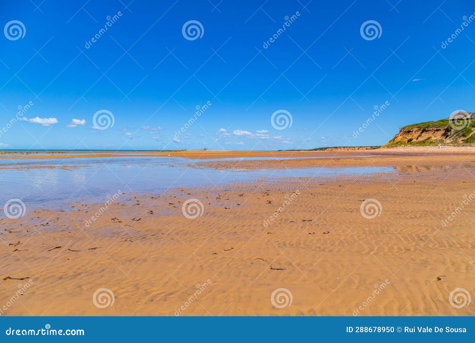 Pristine Beach in Inhaca Island Stock Photo - Image of holiday, travel ...