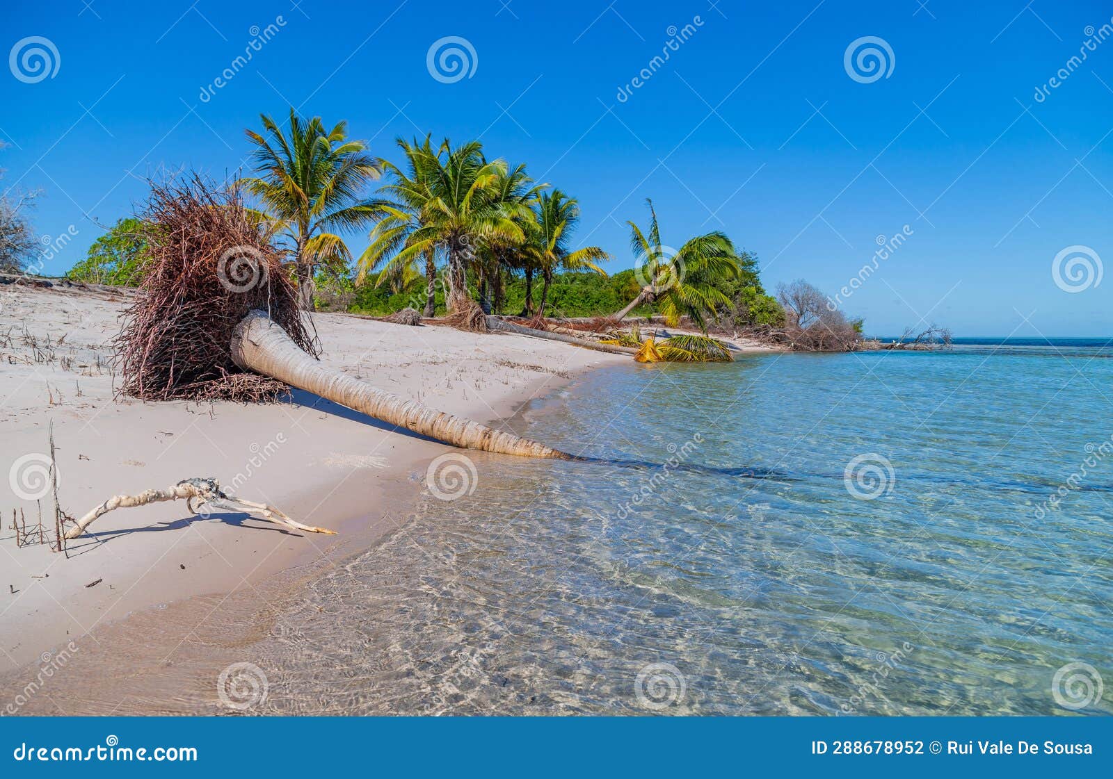 Pristine Beach in Inhaca Island Stock Photo - Image of ocean, pristine ...