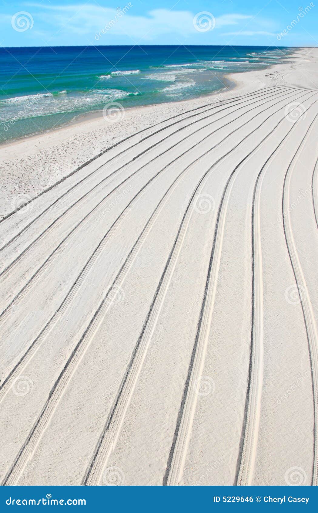 Pristine Beach by Ocean stock photo. Image of empty, holiday - 5229646