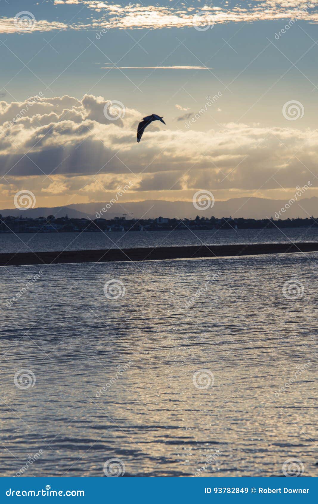 Pristine Beach at Wellington Point, Brisbane Stock Image - Image of ...