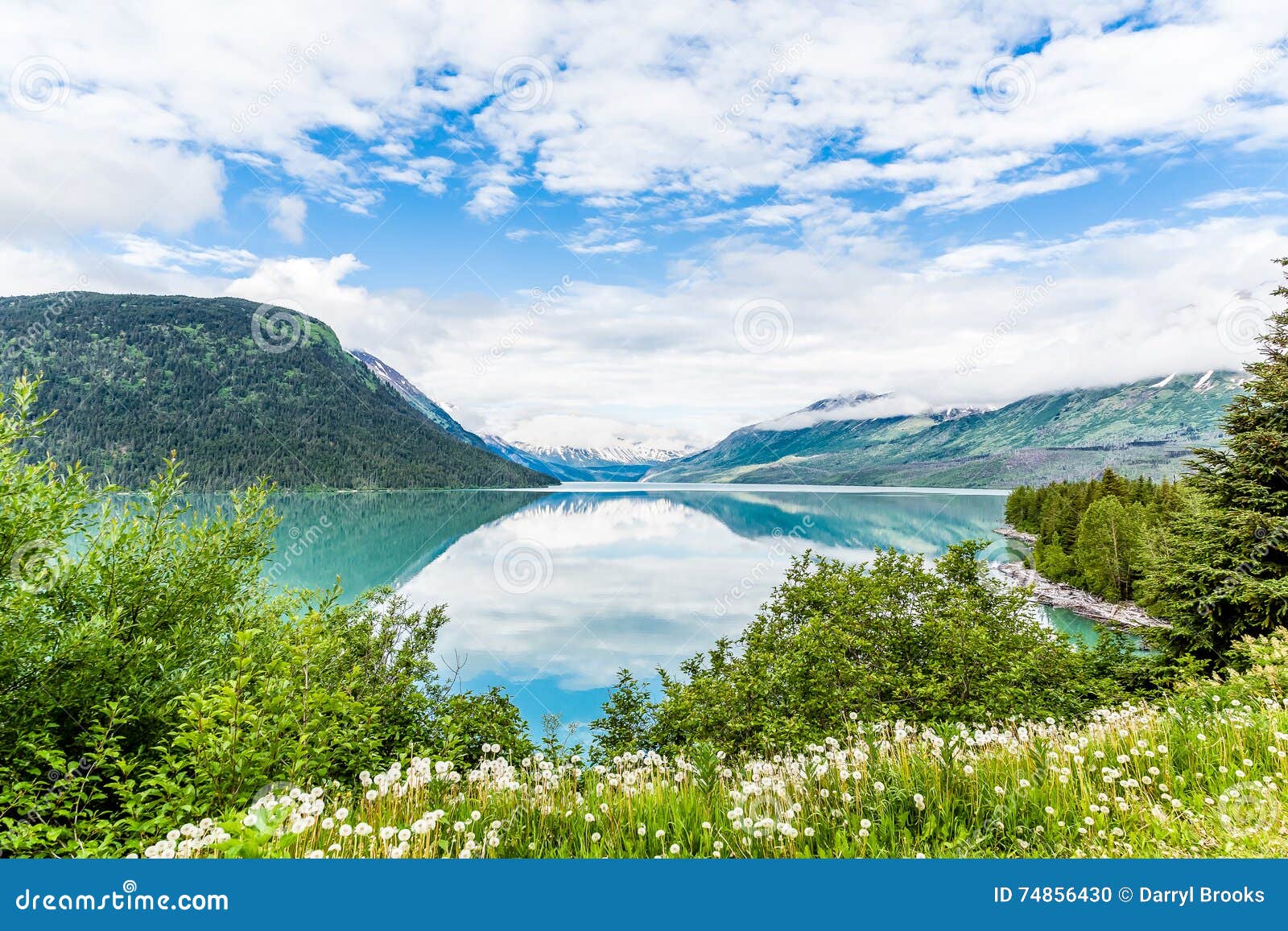 Pristine Blue Alaskan Lake stock photo. Image of outdoor - 74856430