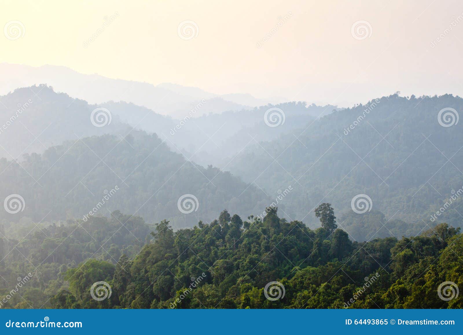 Pristine Jungle View with Fading Mountains in Background Stock Image ...