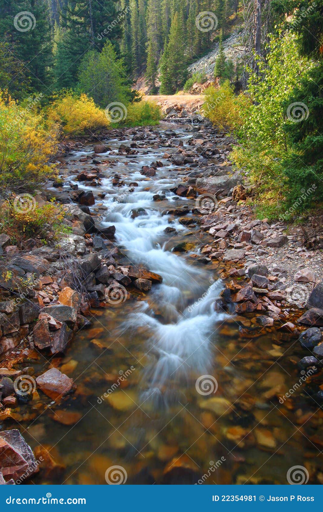 Pristine Montana Stream stock image. Image of landscape - 22354981