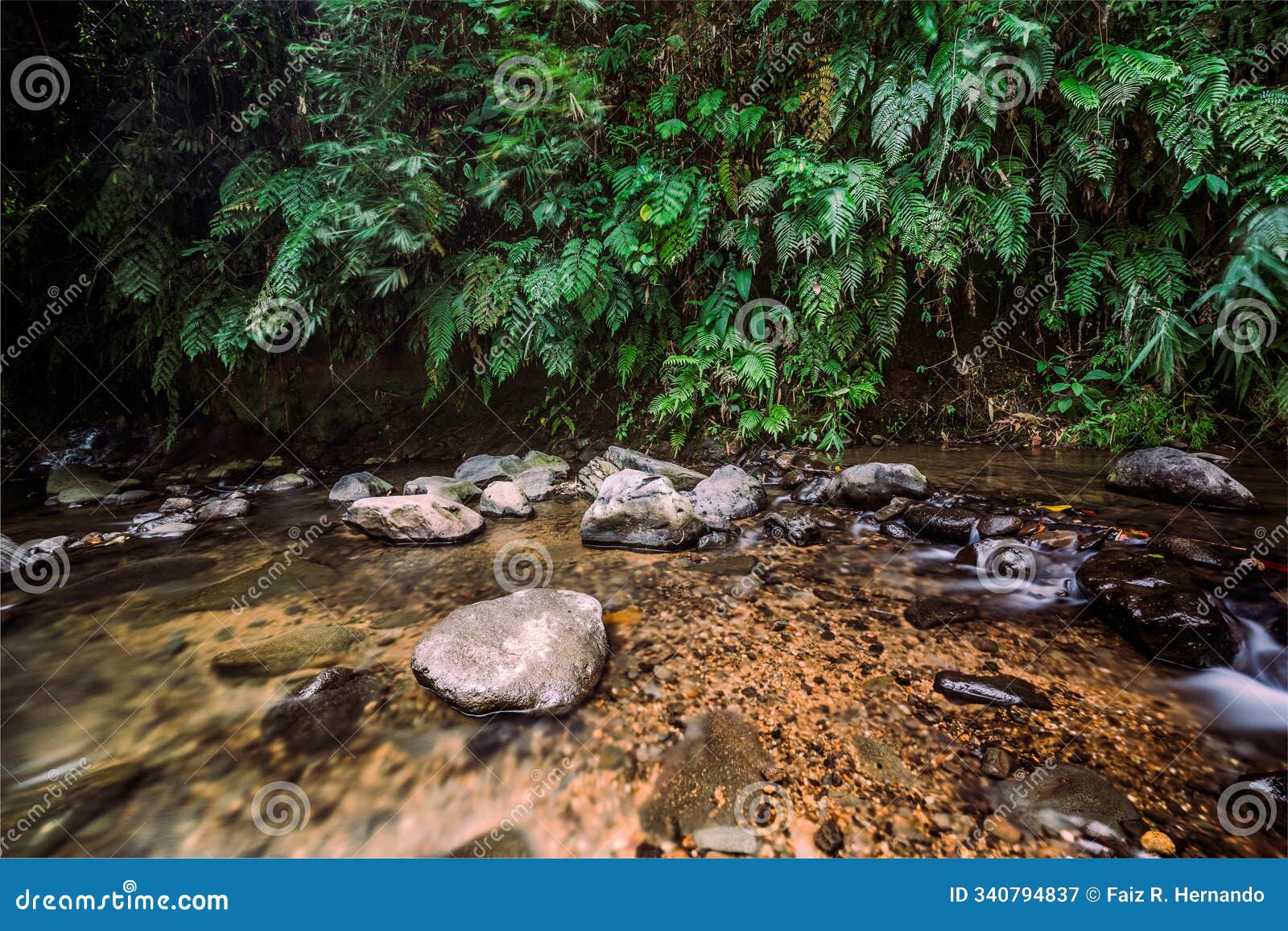 Pristine Mountain Spring. Fresh Waters in a Lush Green Paradise Stock ...