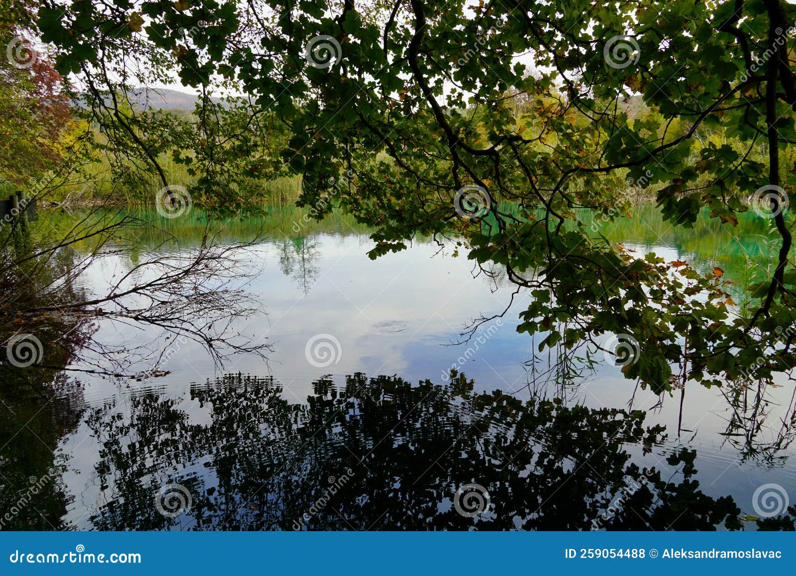Pristine Nature in Autumn with Reflections of the Trees in the Water of ...
