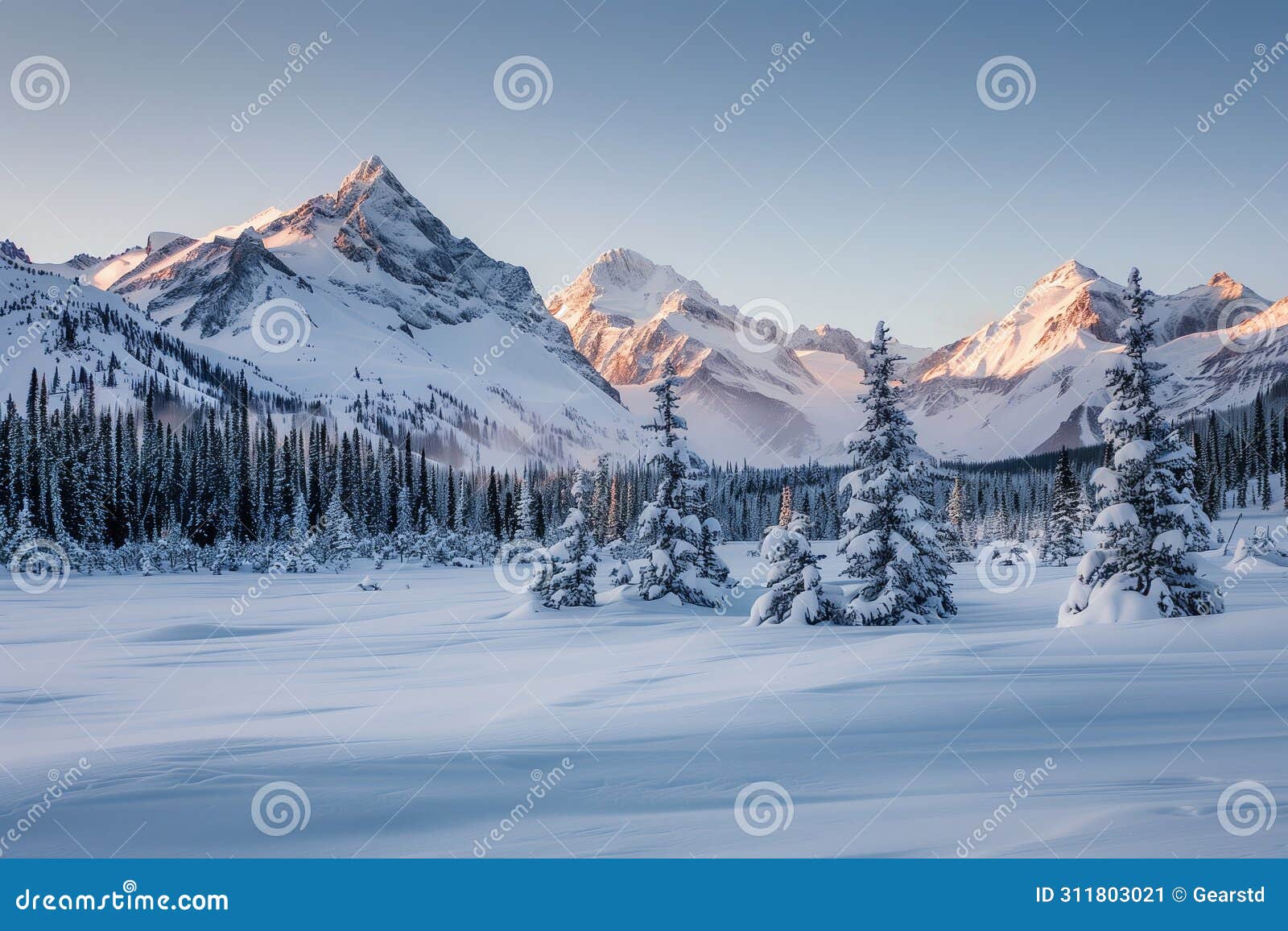 Pristine Snowfield with Mountain Backdrop Stock Image - Image of ...