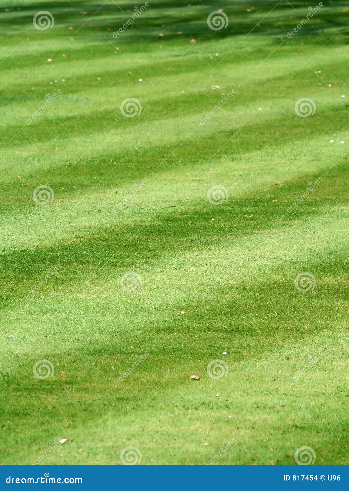 A Pristine Striped Grass Lawn Stock Photo - Image of garden, roller: 817454