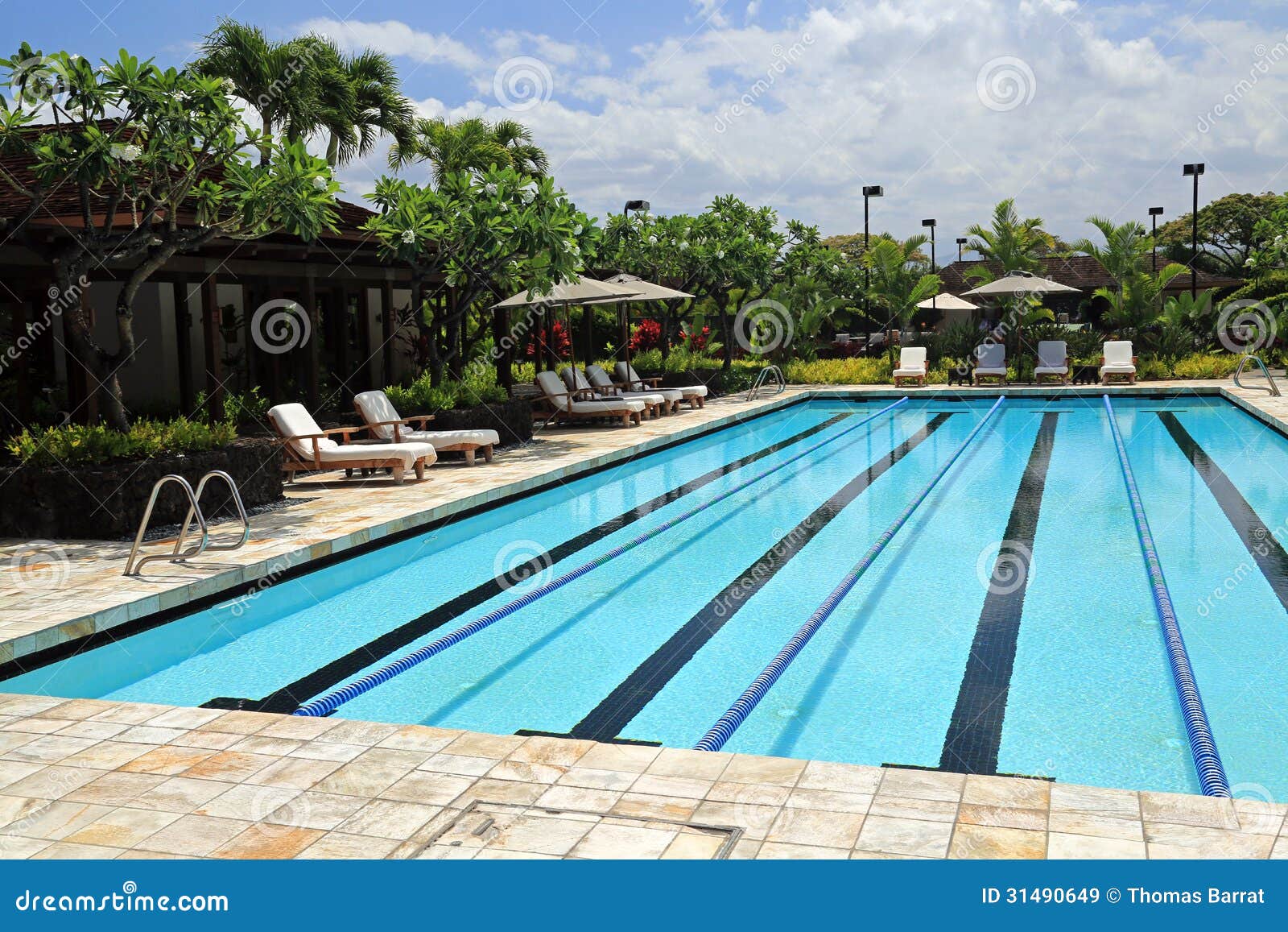 Upscale swimming pool stock image. Image of pool, lanes - 31490649
