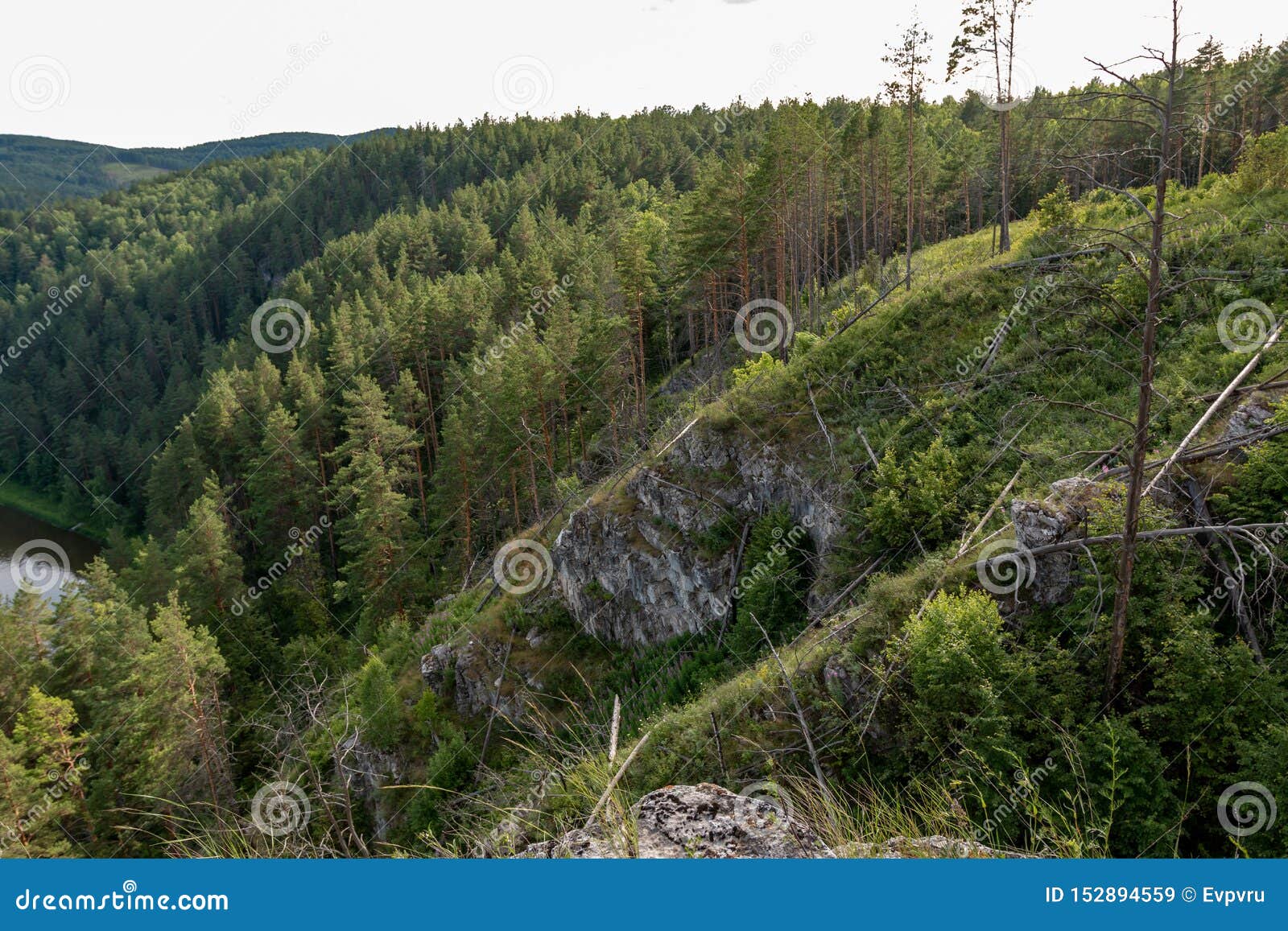 Pristine, Untouched Forest in the Highlands Stock Image - Image of ...