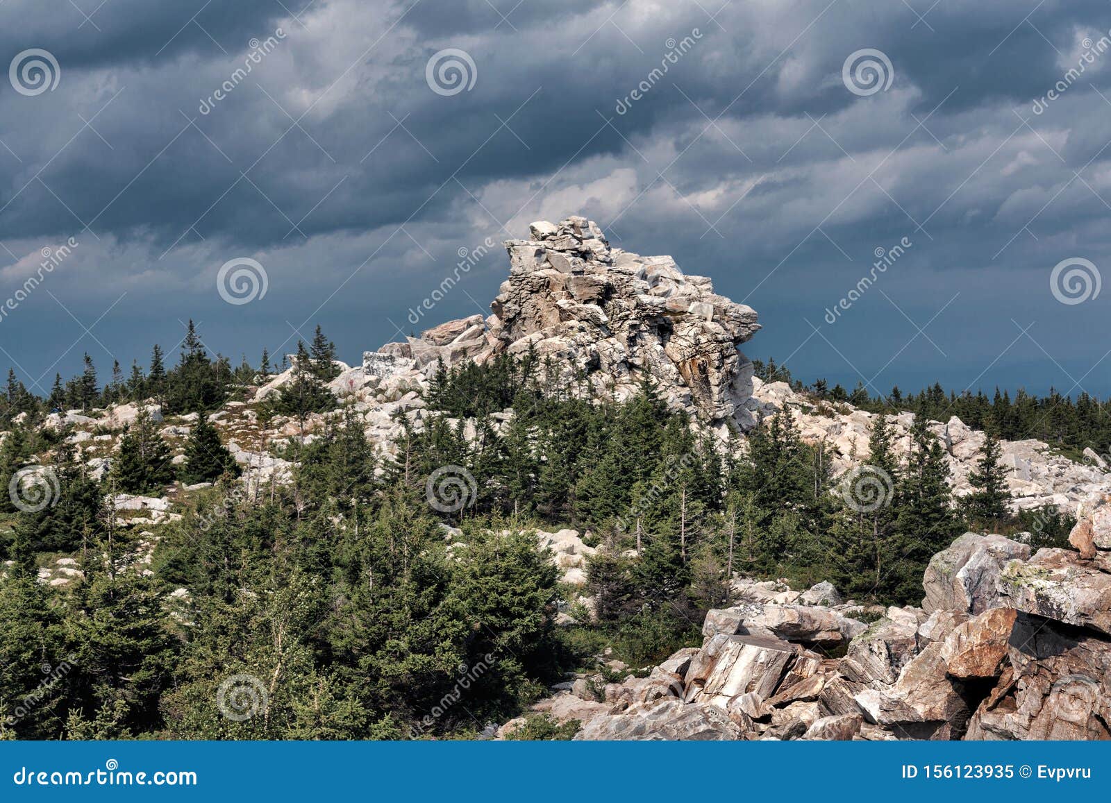 Pristine, Untouched Forest in the Highlands Stock Image - Image of ...
