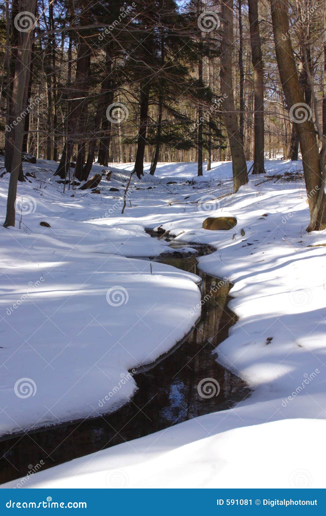 Pristine Winter Creek stock image. Image of pristine, cold - 591081