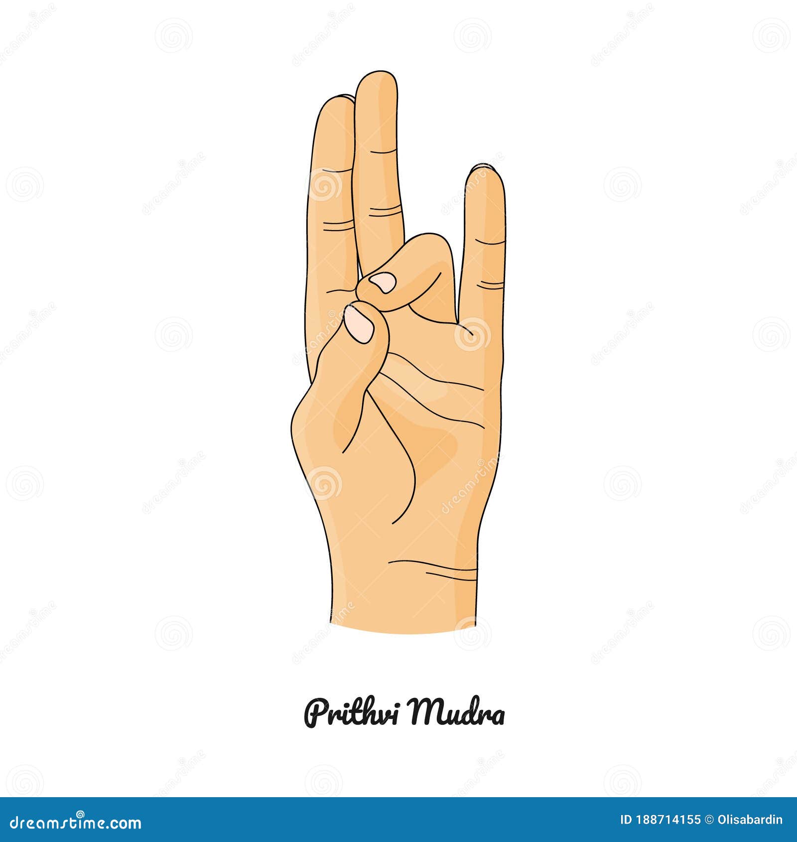Prithvi Mudra / Gesture of Earth. Vector Stock Vector - Illustration of ...