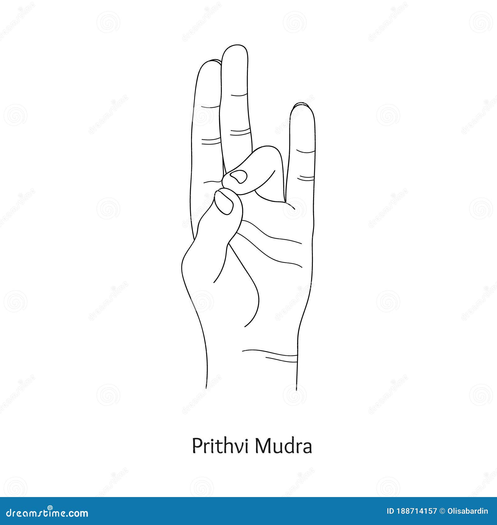 Prithvi Mudra / Gesture of Earth. Vector Stock Vector - Illustration of ...