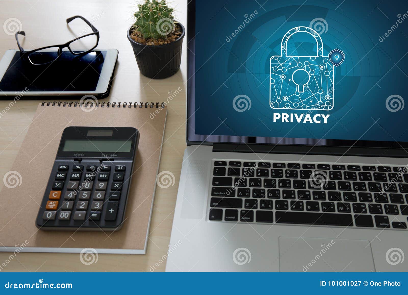 Privacy Access Login PERFORMANCE Identification Password Passcode and ...