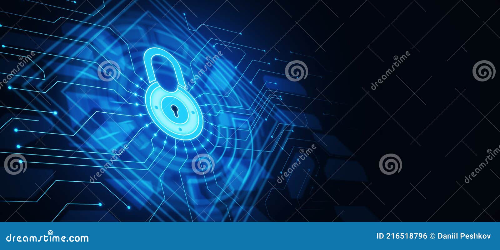 Privacy Data Protection Concept with Perspective View on Digital ...