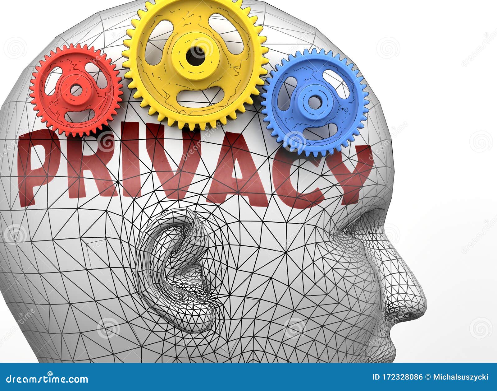 Privacy and Human Mind - Pictured As Word Privacy Inside a Head To ...
