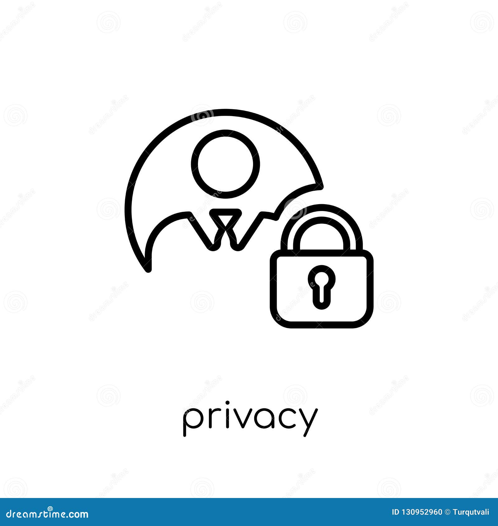 Privacy Icon Vector, Flat Cartoon Shield Checkmark With User Silhouette ...