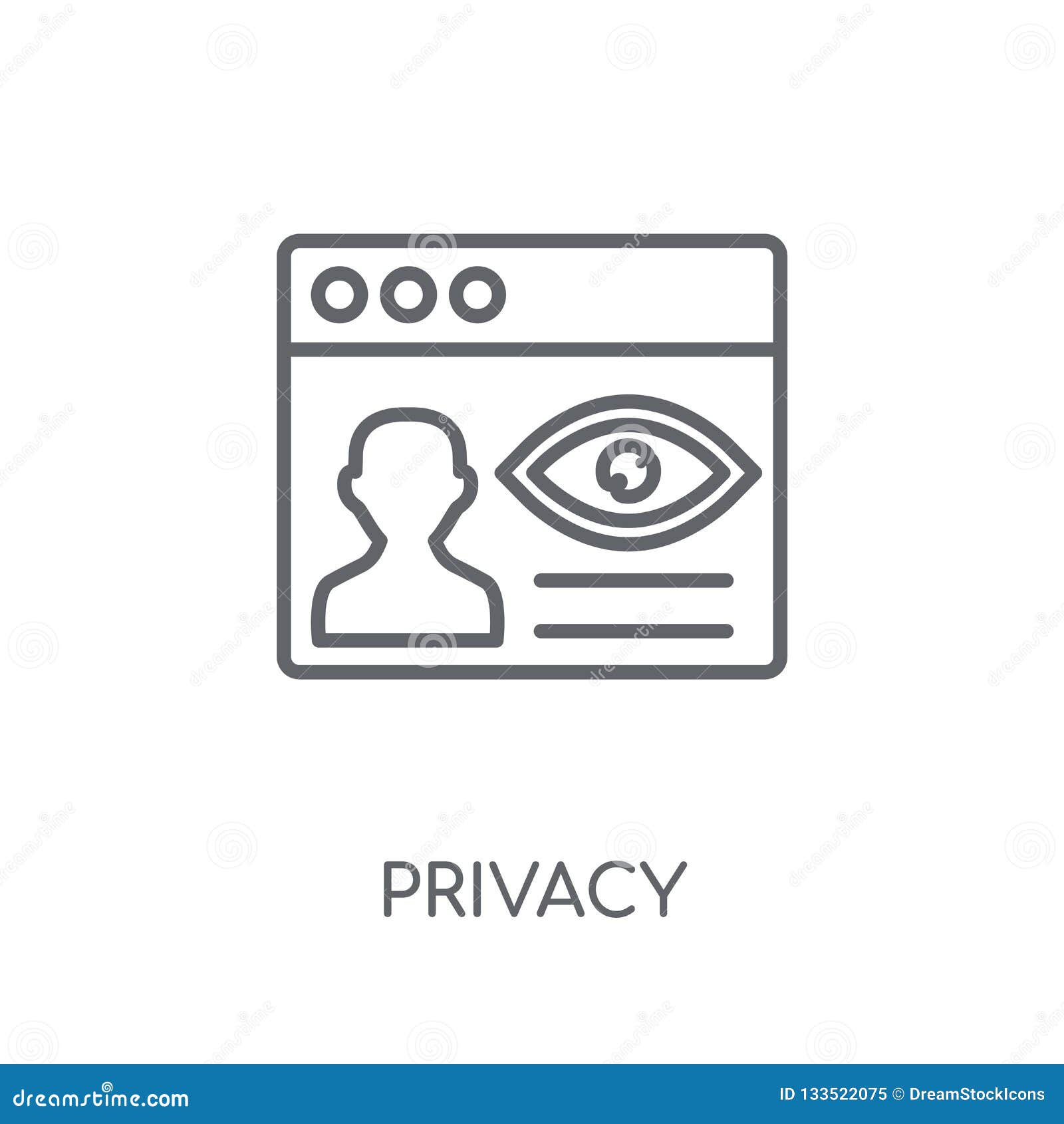 Privacy Linear Icon. Modern Outline Privacy Logo Concept on Whit Stock ...