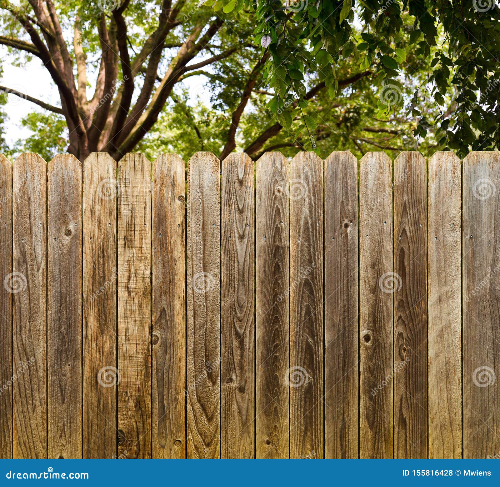 Rustic Wood Fence with Green Shade Trees Stock Photo - Image of border ...