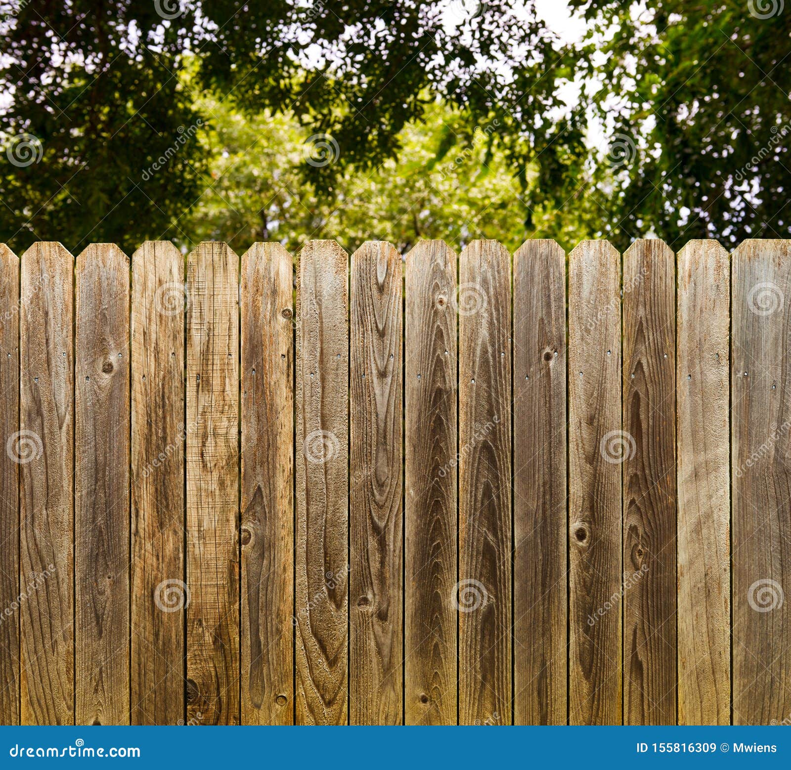 Weathered Wood Privacy Fence with Green Shade Tree Background Stock ...