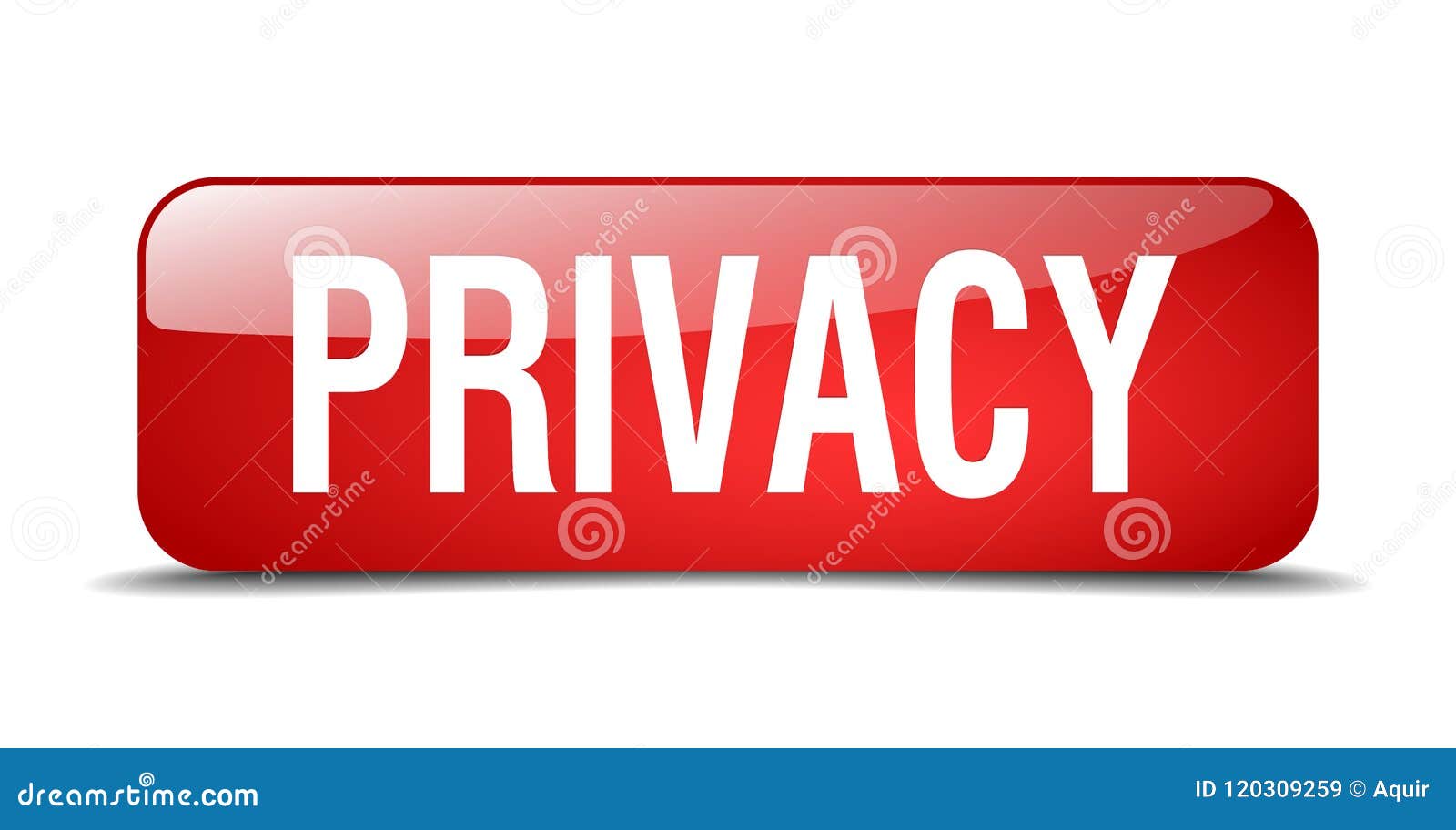 Privacy button stock vector. Illustration of isolated - 120309259