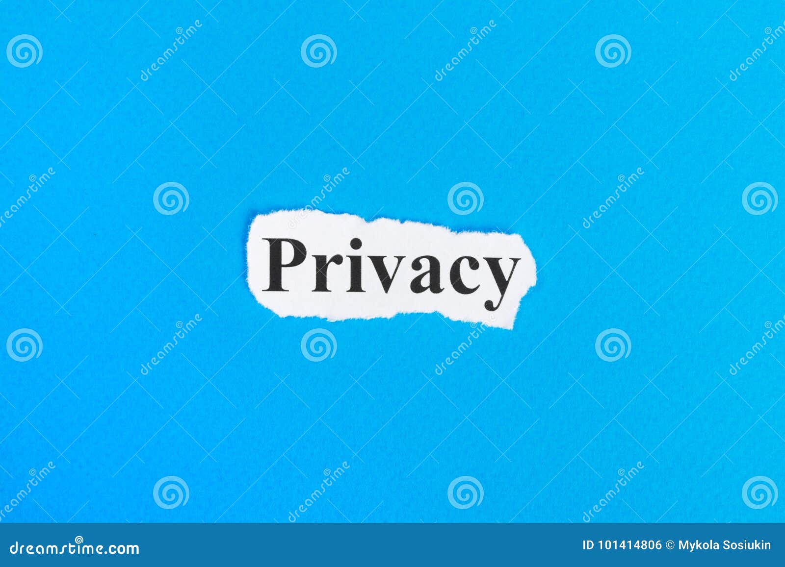 Privacy Text on Paper. Word Privacy on Torn Paper Stock Photo - Image ...