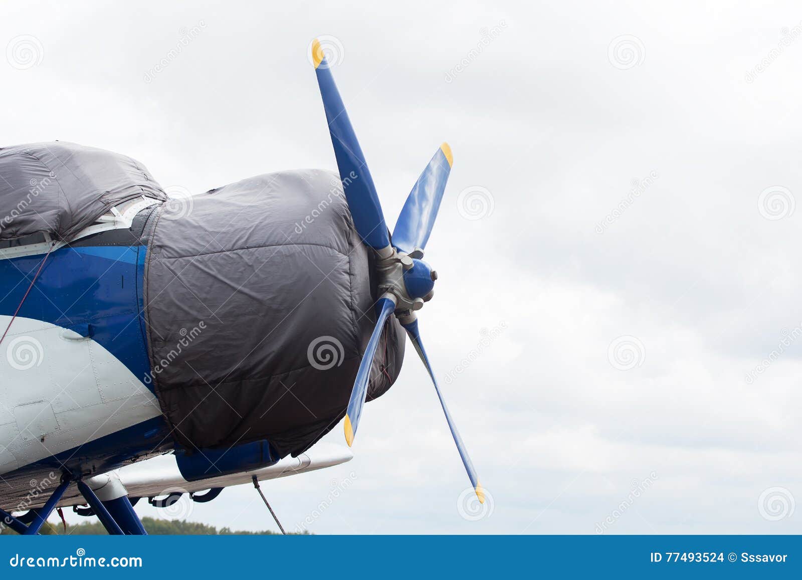 Private jet is parked stock photo. Image of airplane - 77493524
