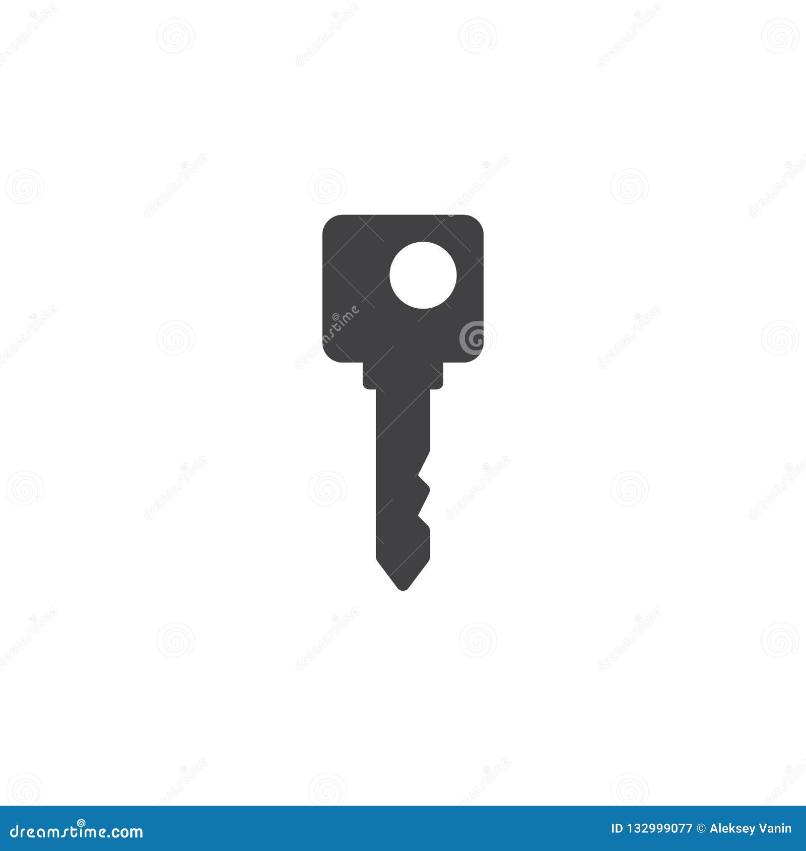 Private key vector icon stock vector. Illustration of personal - 132999077