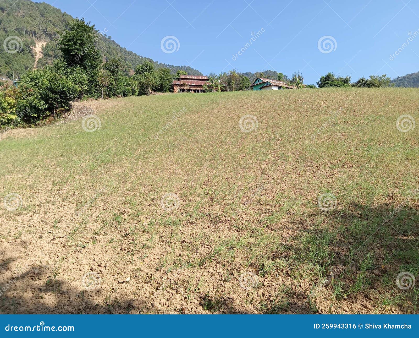 Private land stock photo. Image of nepal, house, land - 259943316