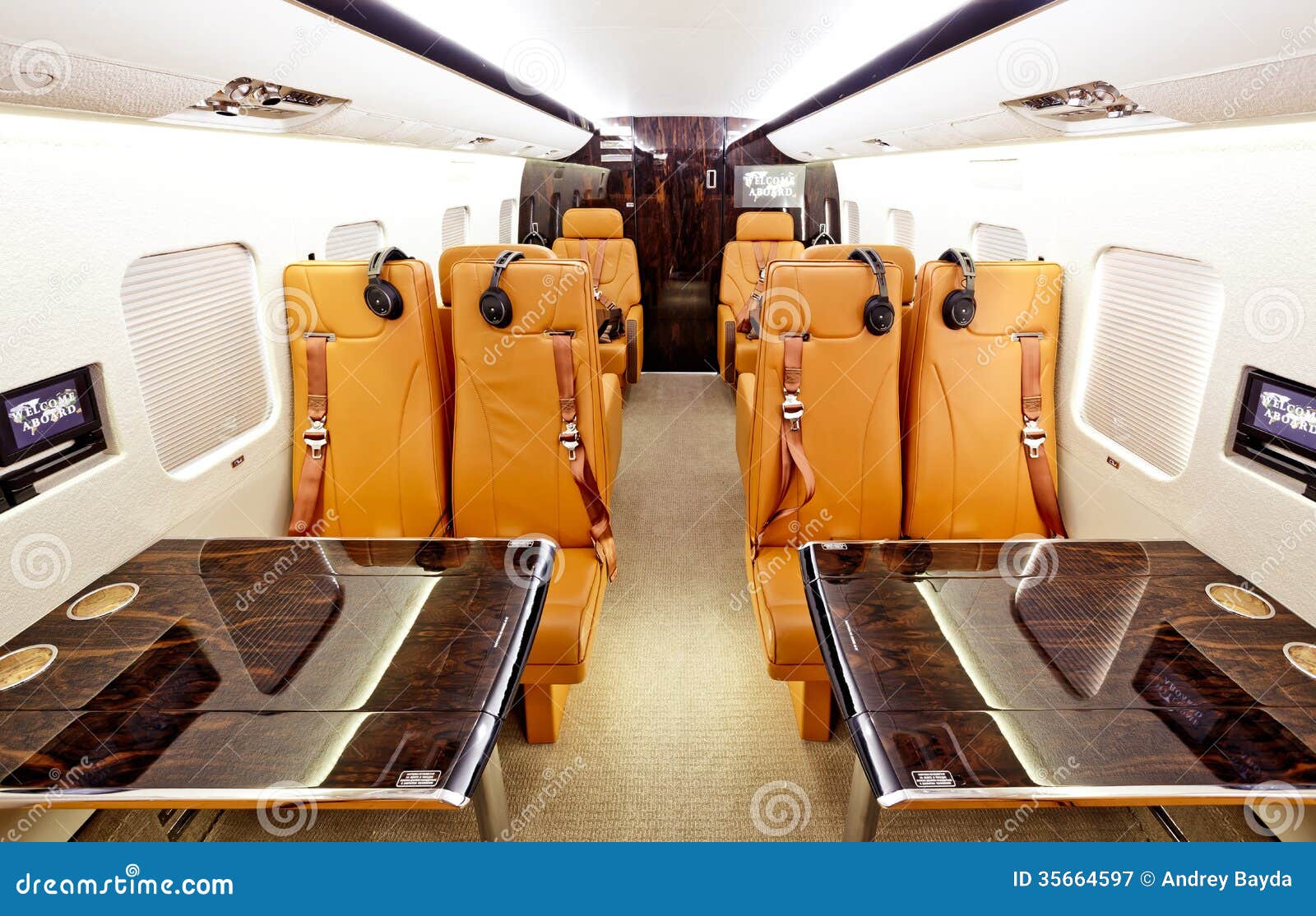 Private plane interior stock image. Image of service - 35664597