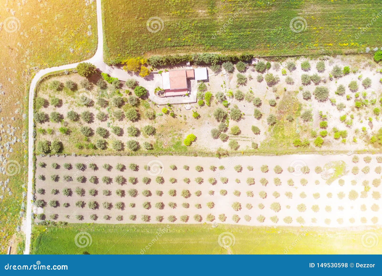 Private Plot House and Planting Fruitful Trees Stock Photo - Image of ...