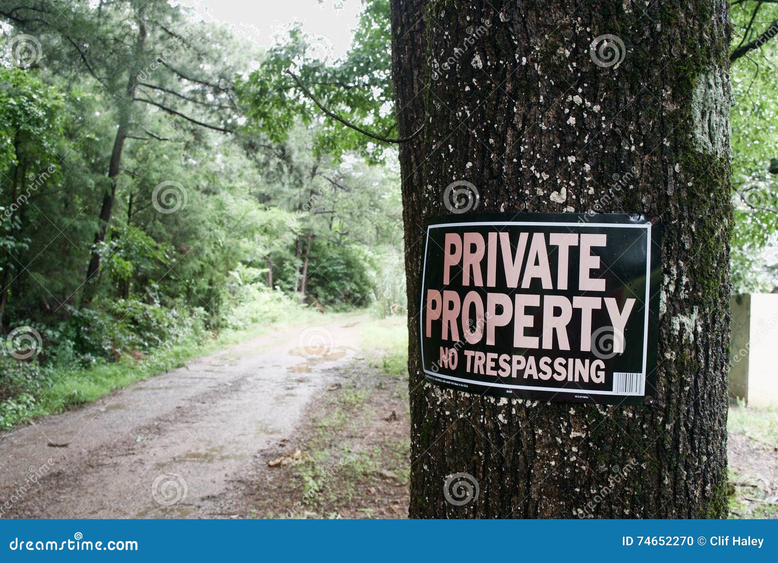 Private Property Sign on Tree Stock Photo - Image of danger, sign: 74652270