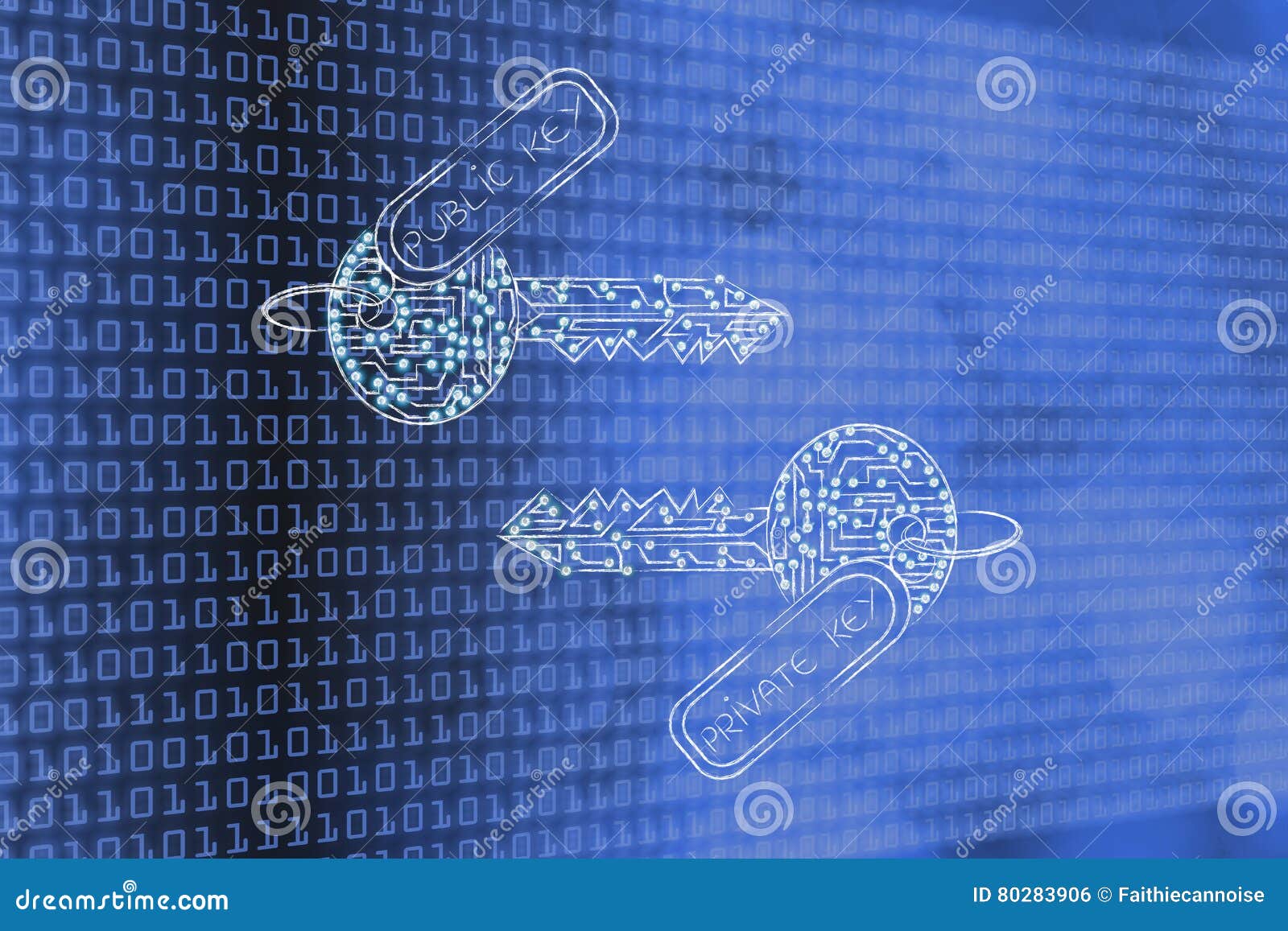 Private & Public Keys Made of Circuits with Leds, Encryption Con Stock ...