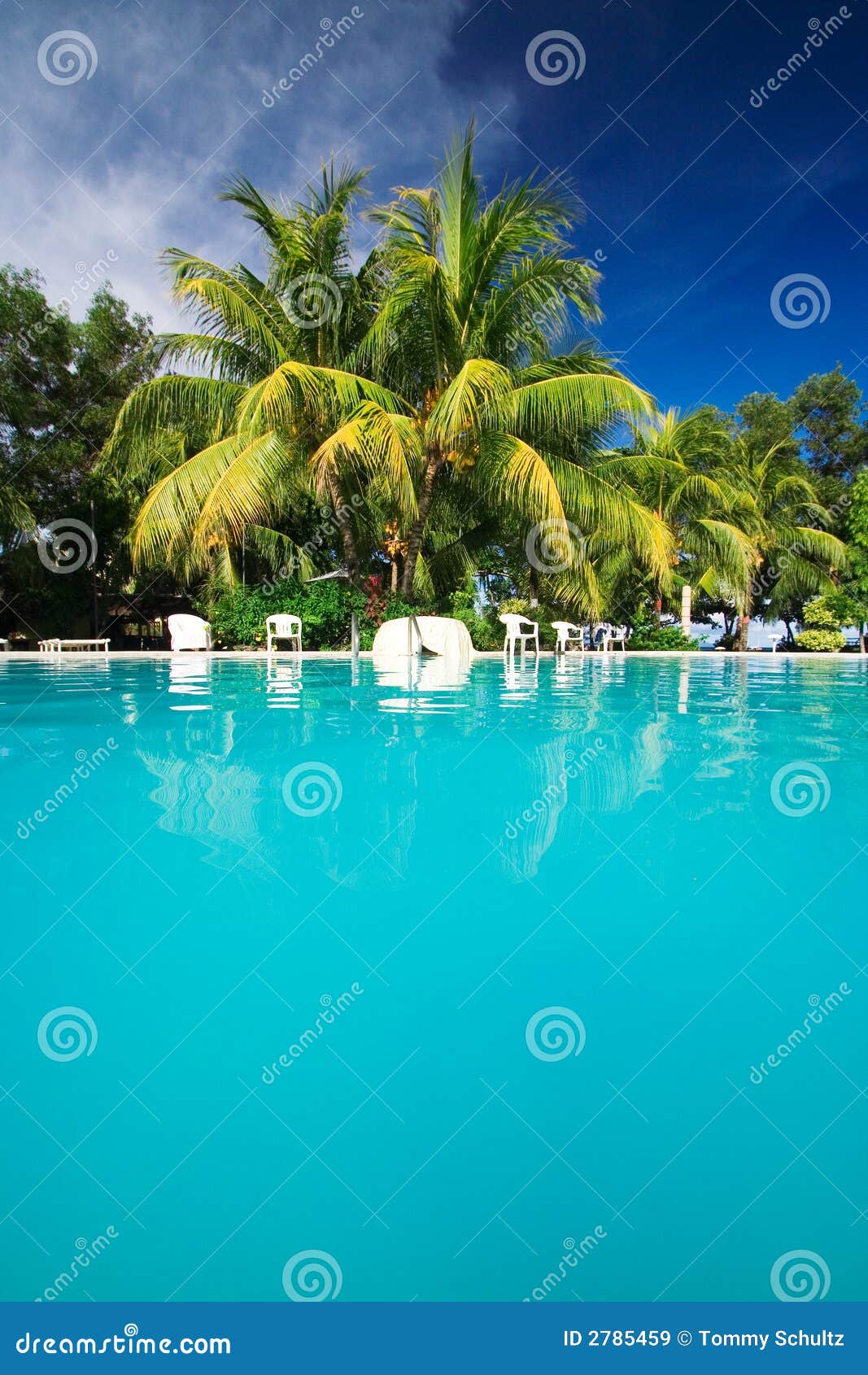 Private resort pool stock image. Image of nice, light - 2785459