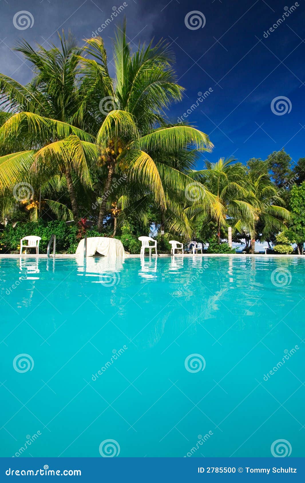 Private resort pool stock photo. Image of five, lamp, hotel - 2785500