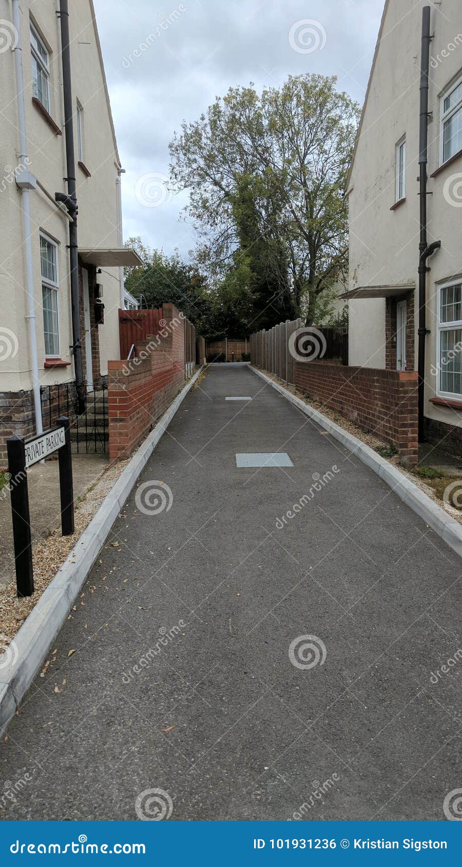 Private road stock photo. Image of tree, private, houses - 101931236